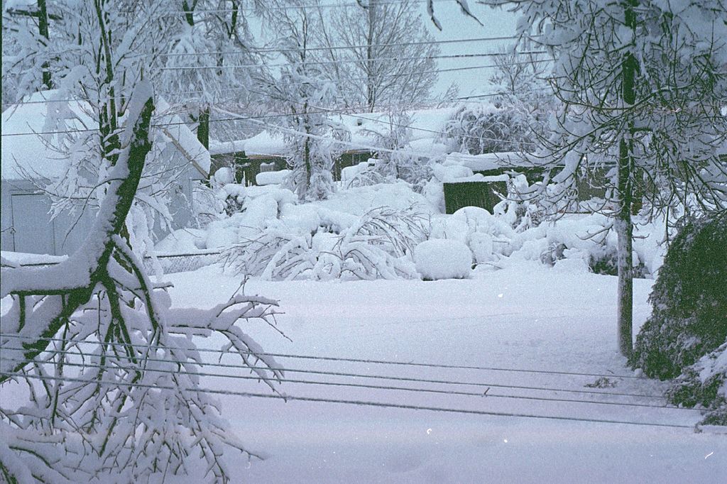 Kanada i SAD: Brza zimska oluja pogađa područje uz Velika jezera – RiMeteo Kanada i SAD: Brza zimska oluja pogađa područje uz Velika jezera – RiMeteo